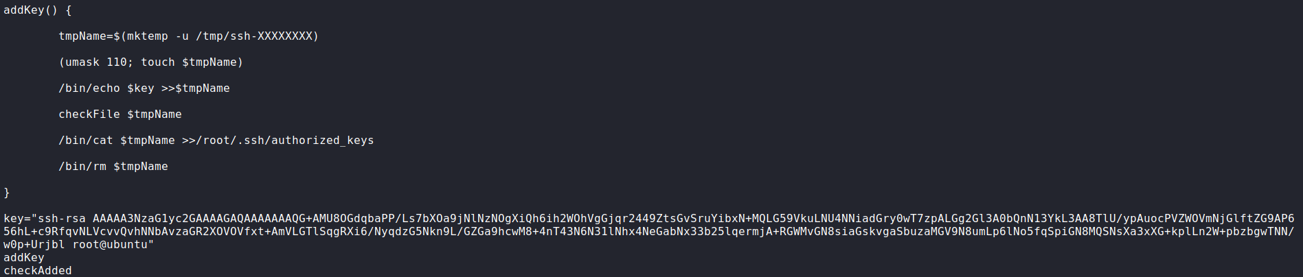 Hack The Box: Tenet – Khaotic Developments