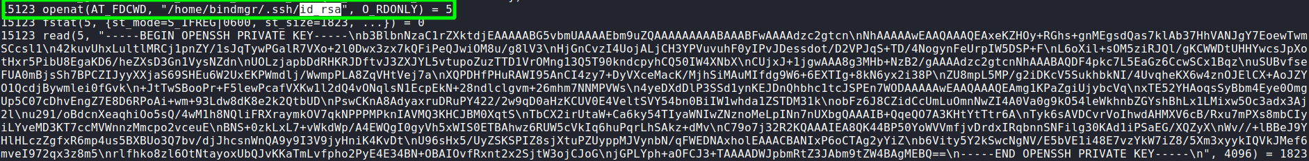 Hack The Box: dynstr – Khaotic Developments